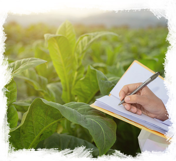 Fructa svijet - Fructa Trade